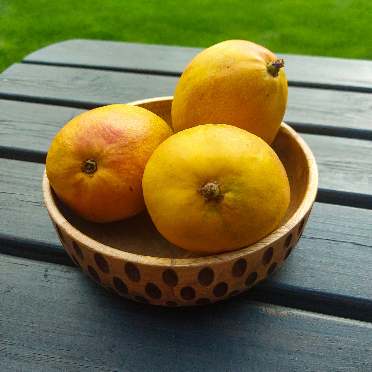 Mango Wood Magic: Sustainable Chic for Your Home | Anav